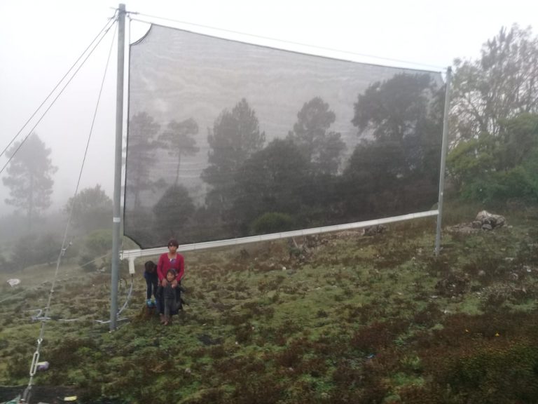 Latest News | FogQuest: Sustainable Water Solutions | Fog Collection ...