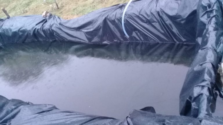 Latest News | FogQuest: Sustainable Water Solutions | Fog Collection ...